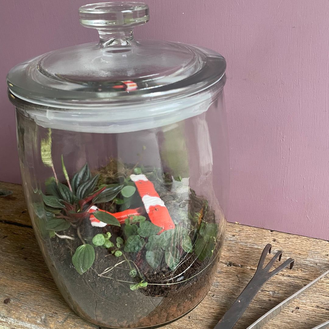 Craft Collective Townsville – The Craft Collective Townsville